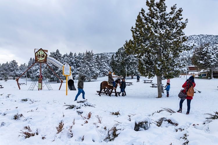 德尼兹利滑雪胜地 - 博兹达山 - Denizli Kayak Merkezi - Bozdağ - 土耳其